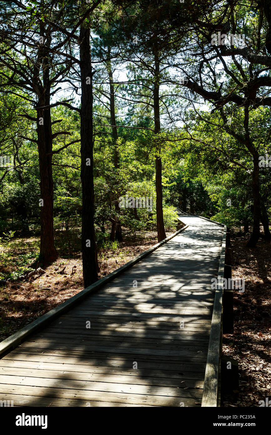 Dappled patterns hi-res stock photography and images - Alamy