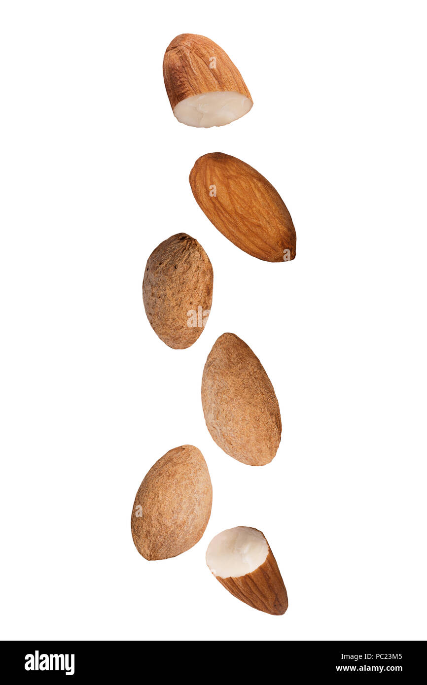 Isolated flying nuts. Falling almonds isolated on white background with ...