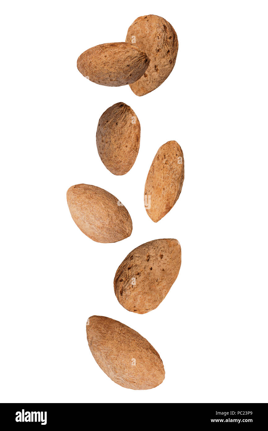 Isolated flying nuts. Falling almonds isolated on white background with ...