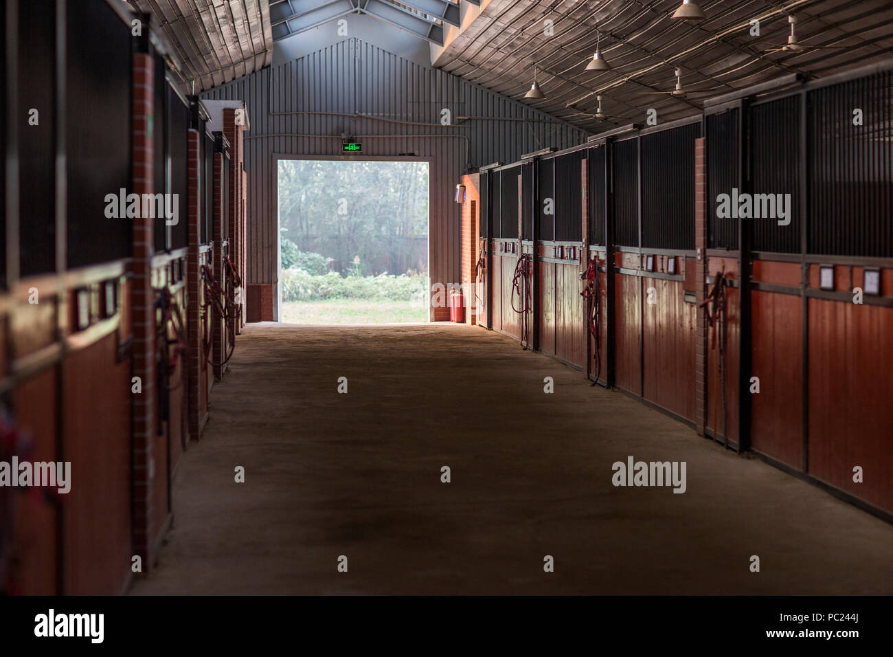 Horse stable hi-res stock photography and images - Alamy