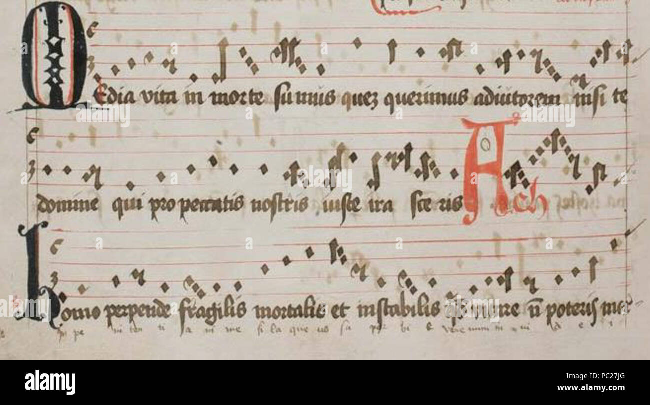 Sumus hi-res stock photography and images - Alamy