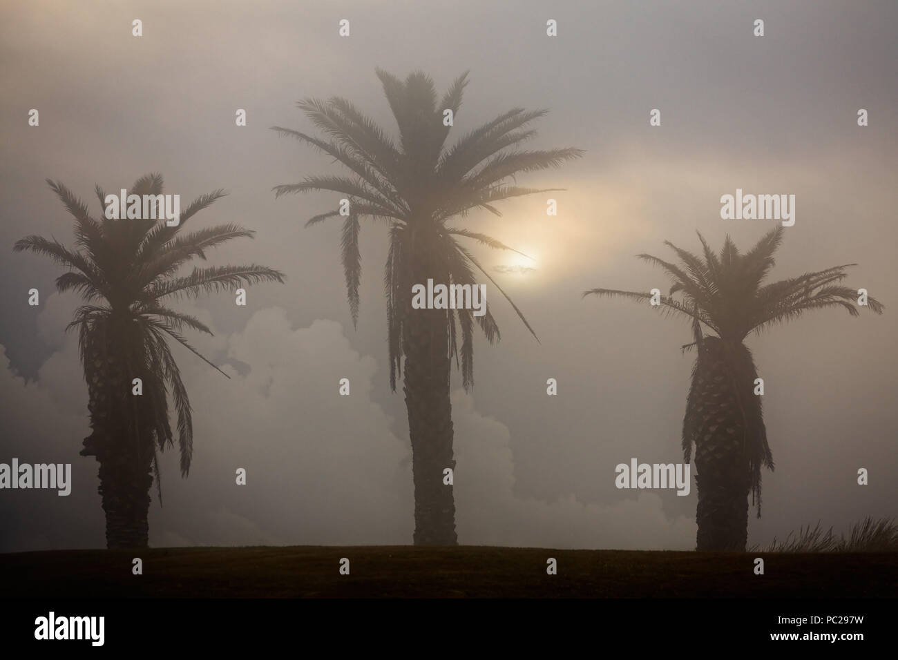 Beautiful tropical sunset, hot and humid Stock Photo - Alamy