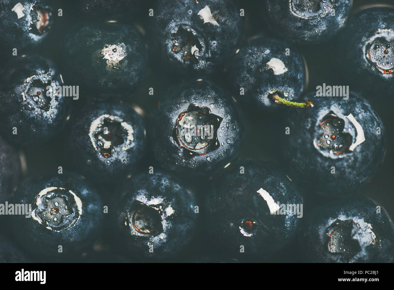 Flat-lay of wet dark forest blueberries, top view, horizontal ...