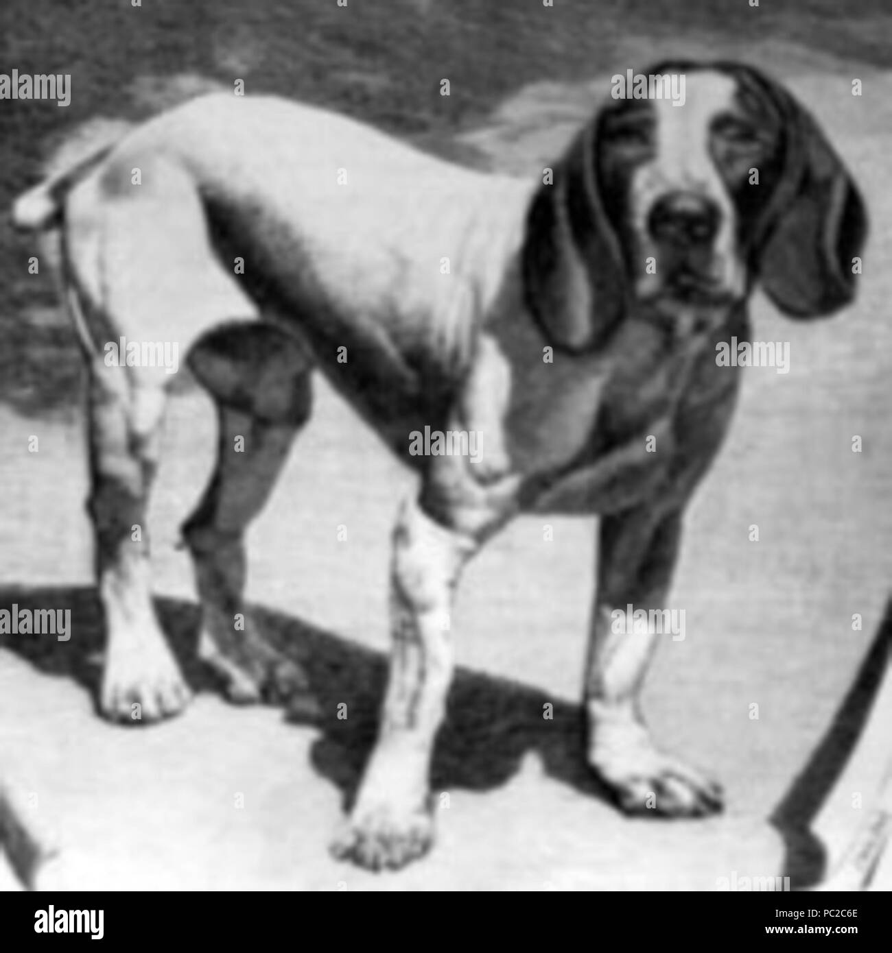 Nafar hi-res stock photography and images - Alamy