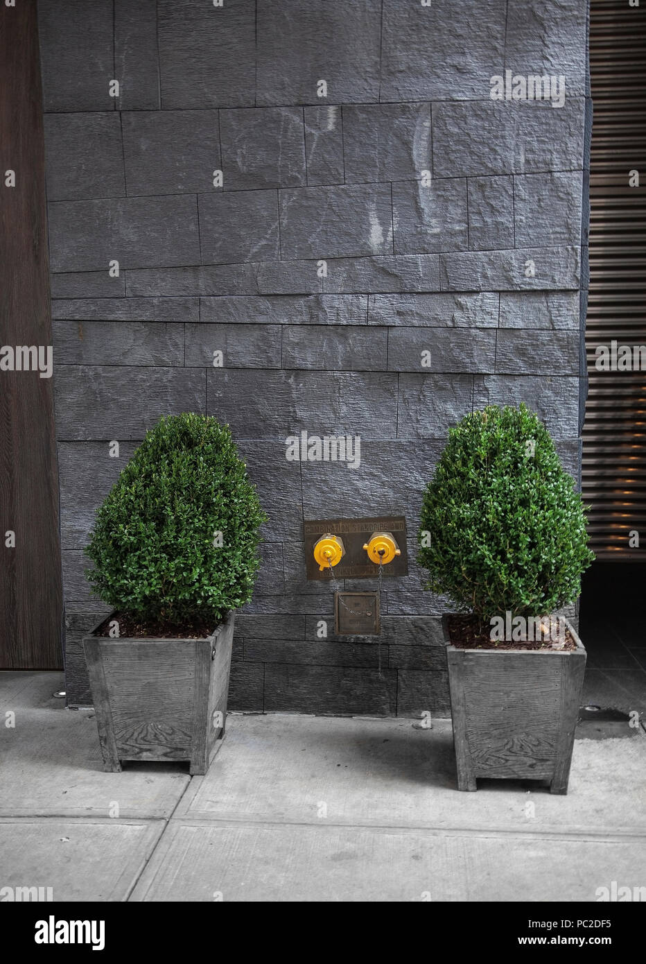 Two small trees in a pot and a Hotel entrance in New York City Center ...