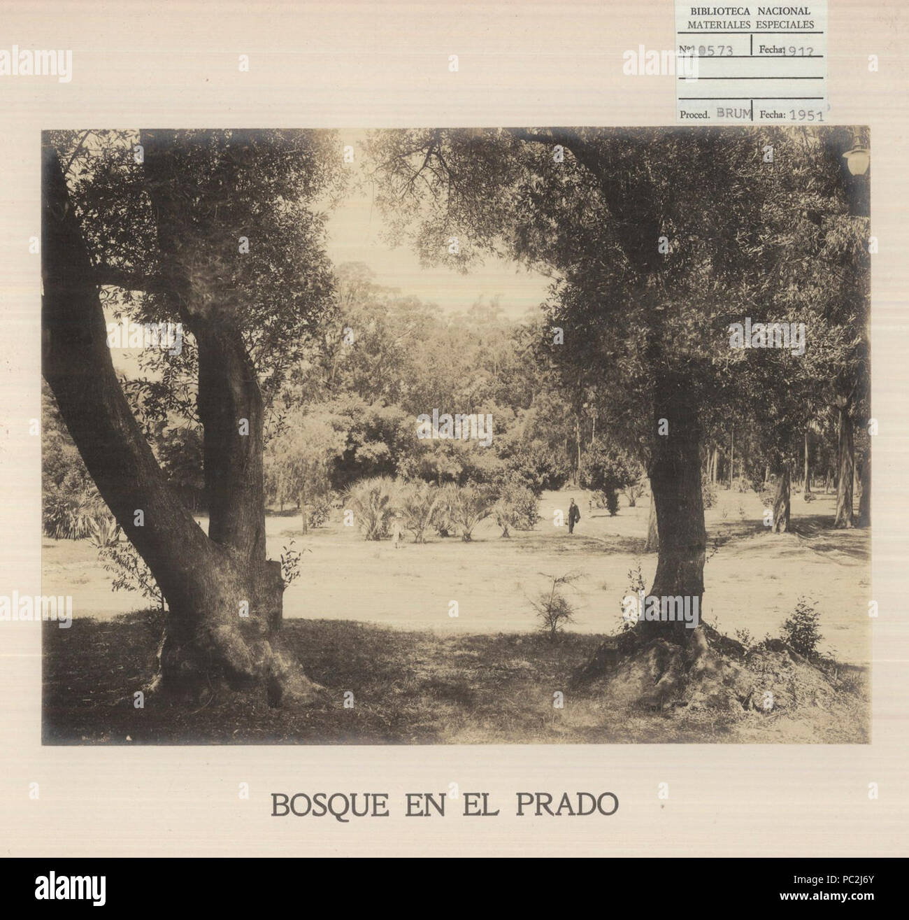 10573 hi-res stock photography and images - Alamy