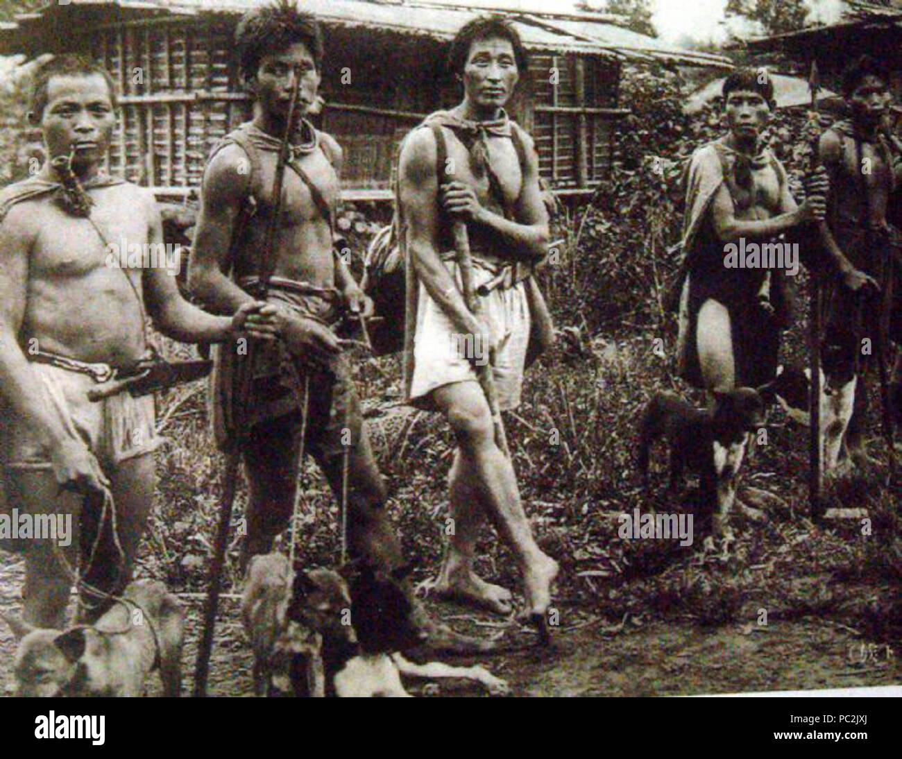 Aboriginal dog hi-res stock photography and images - Alamy