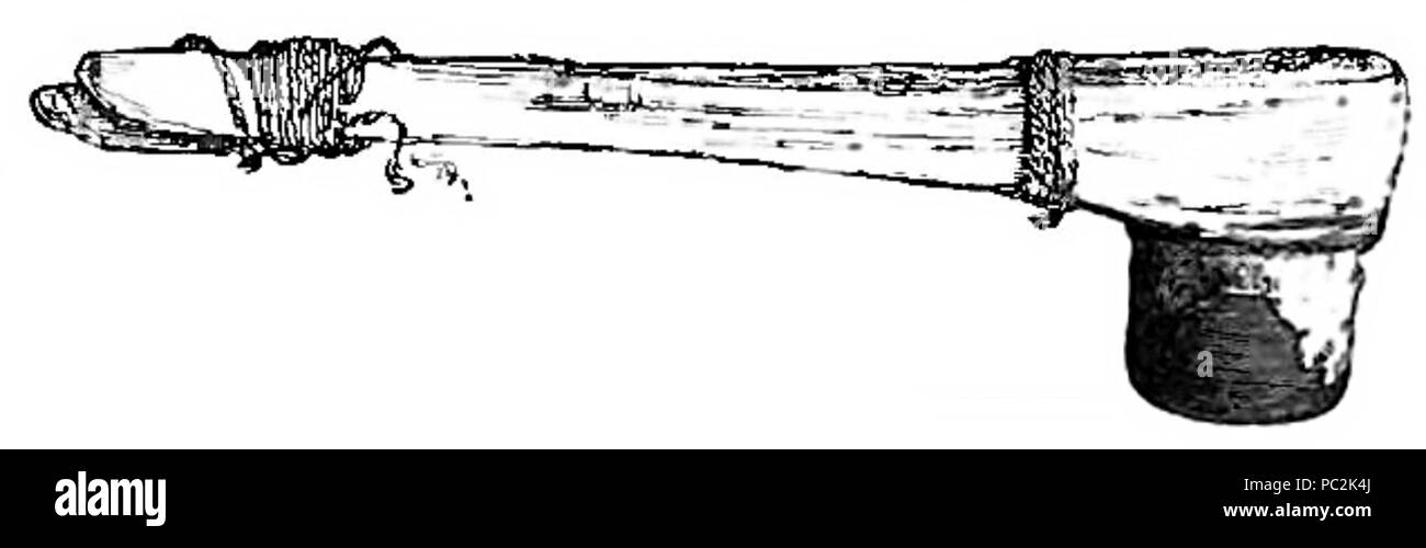 P367 hi-res stock photography and images - Alamy