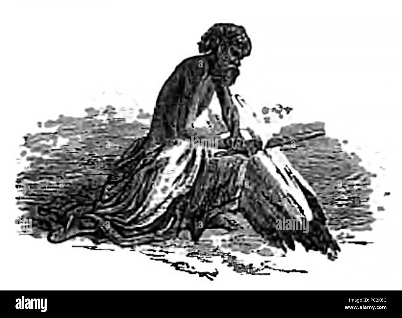 P395 Cut Out Stock Images & Pictures - Alamy