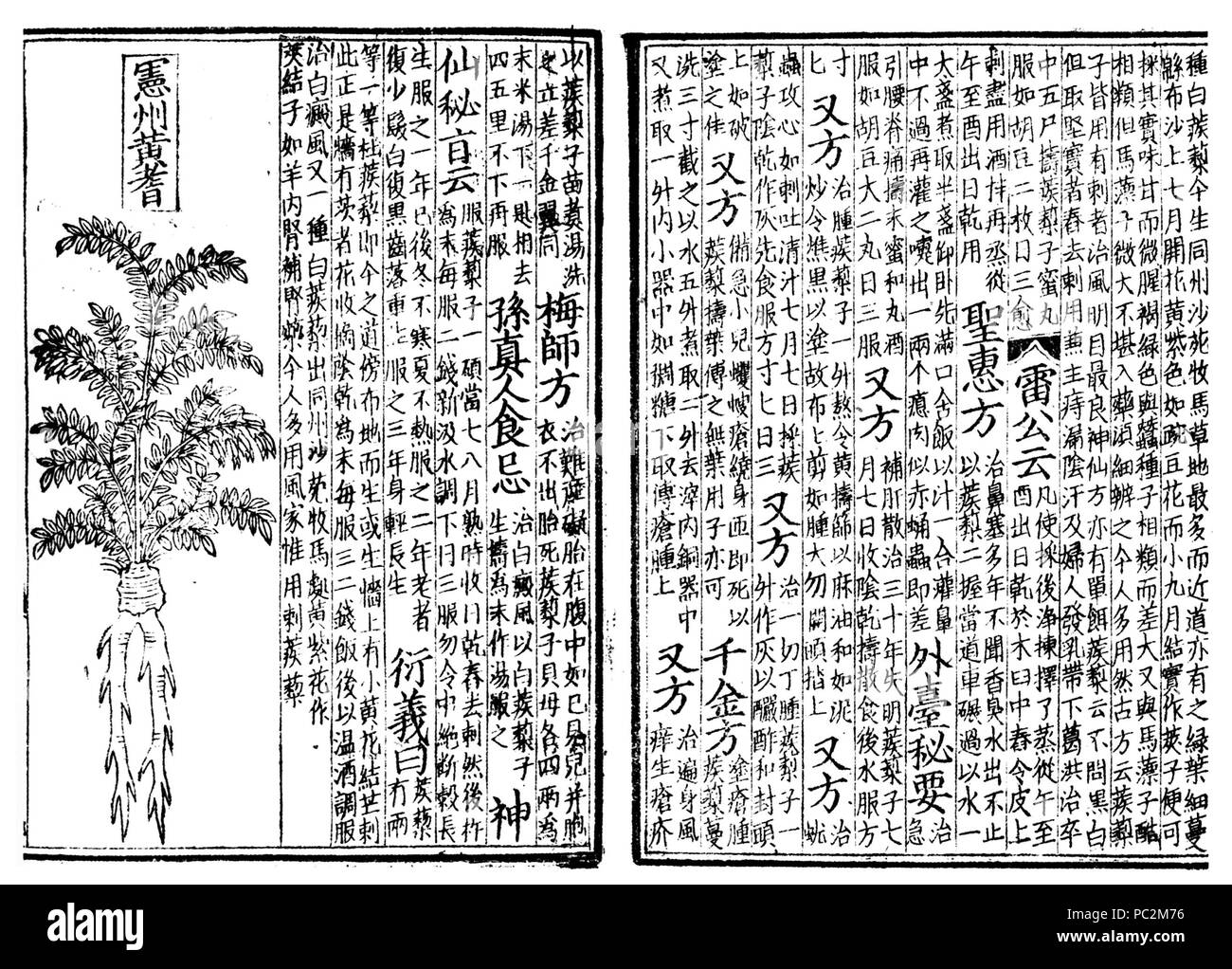 Traditional chinese medicine books hi-res stock photography and images ...