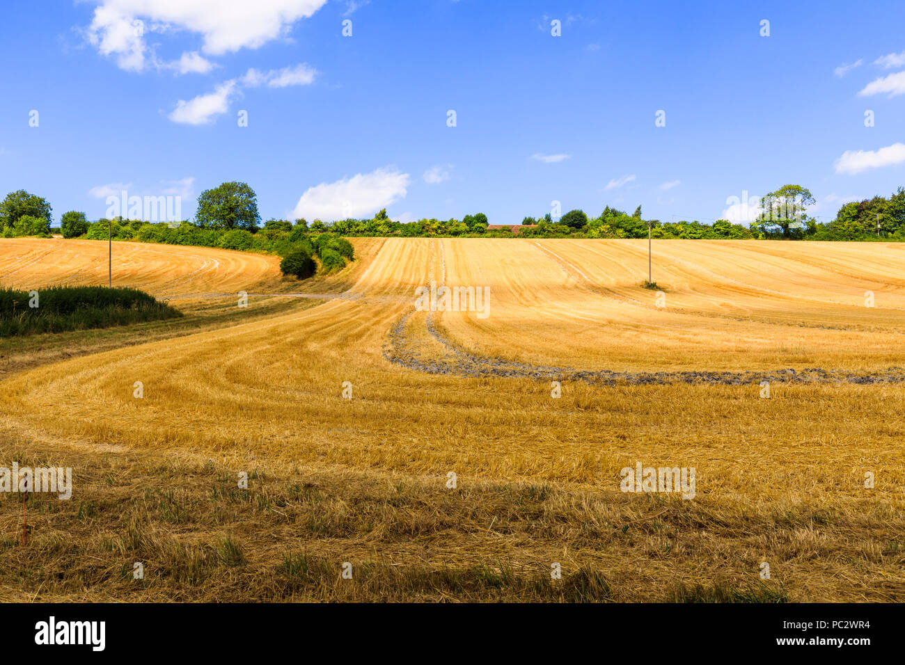 English farm field after harvesting hi-res stock photography and images ...