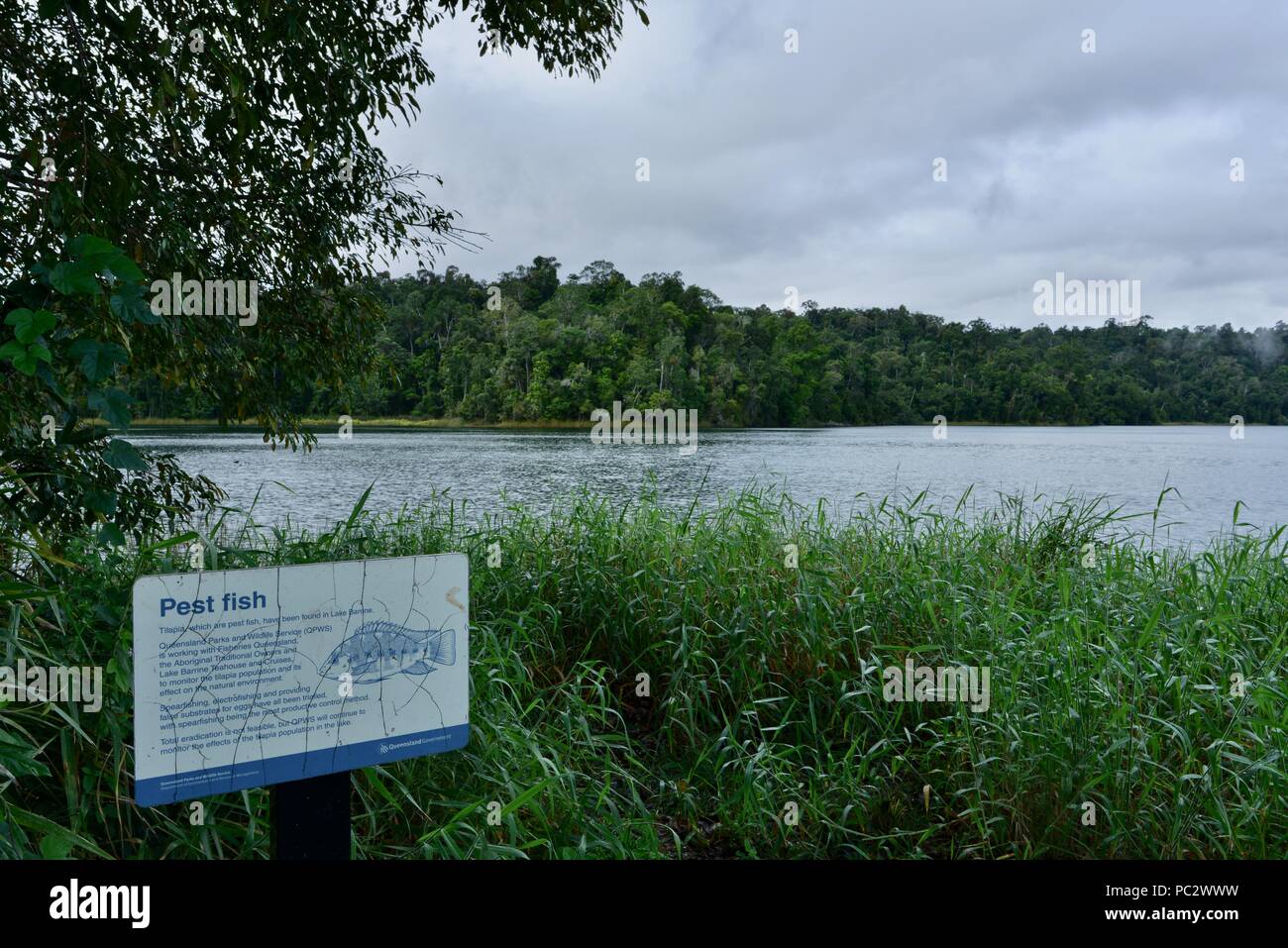 Tilapia pest fish sign hi-res stock photography and images - Alamy