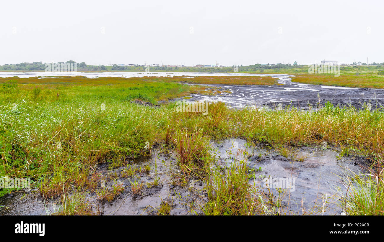View of the Pitch Lake, the largest natural deposit of asphalt in the ...