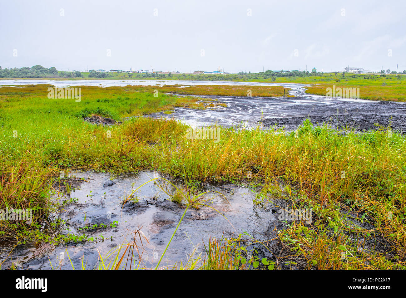 View of the Pitch Lake, the largest natural deposit of asphalt in the ...