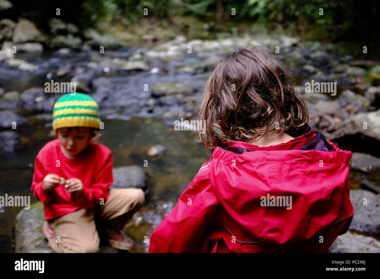 Two children play near a stream, Mobo Creek Crater, Atherton tablelands ...