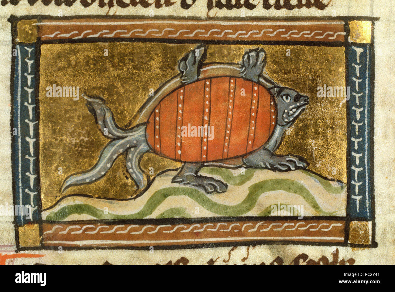 Accipender (turtle) - Der naturen bloeme - Jacob van Maerlant - KB KA ...
