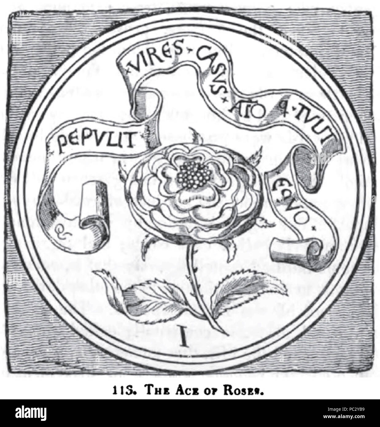 Ace of Roses (Joseph Strutt Stock Photo - Alamy