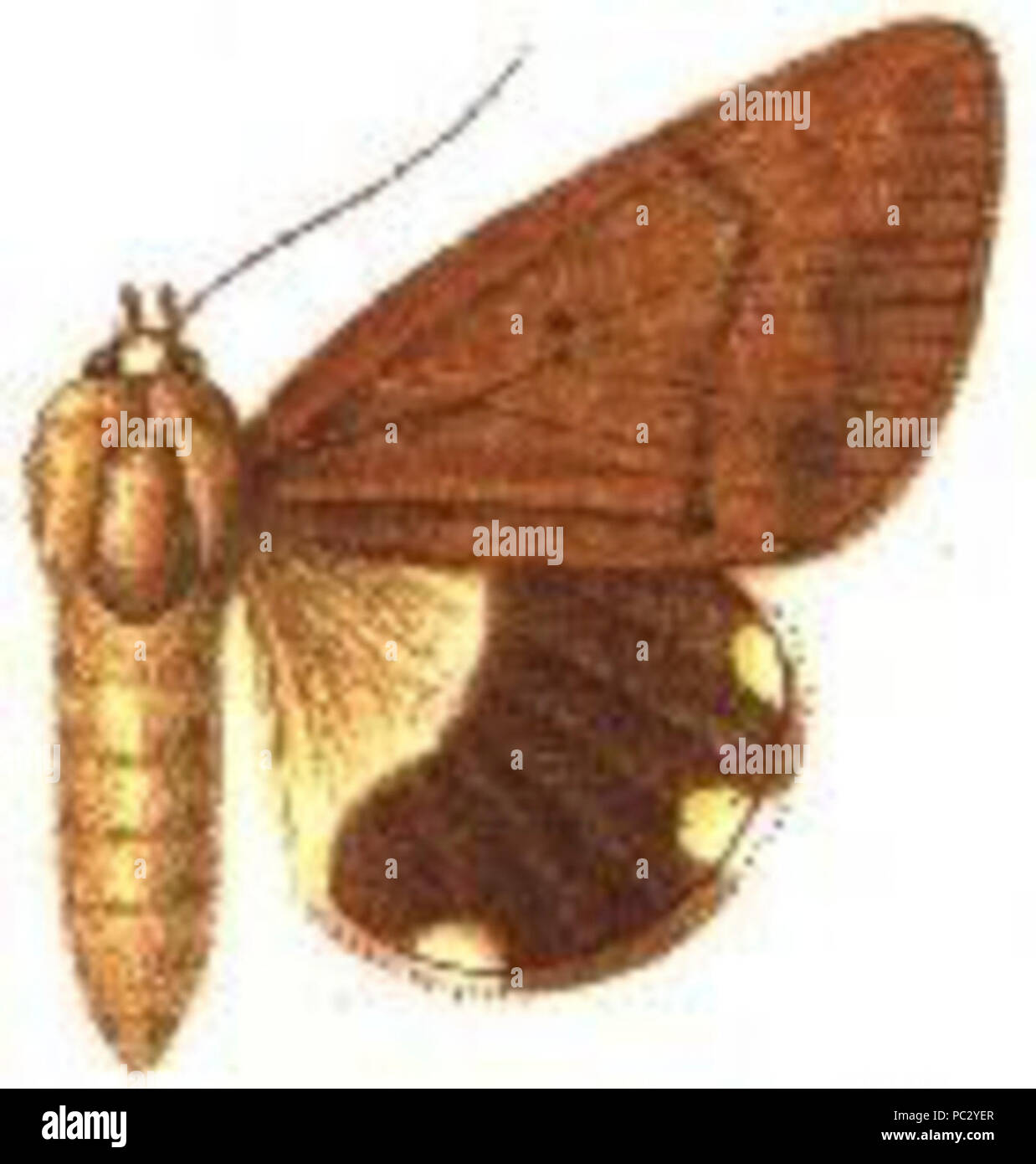 Simplex image hi-res stock photography and images - Alamy