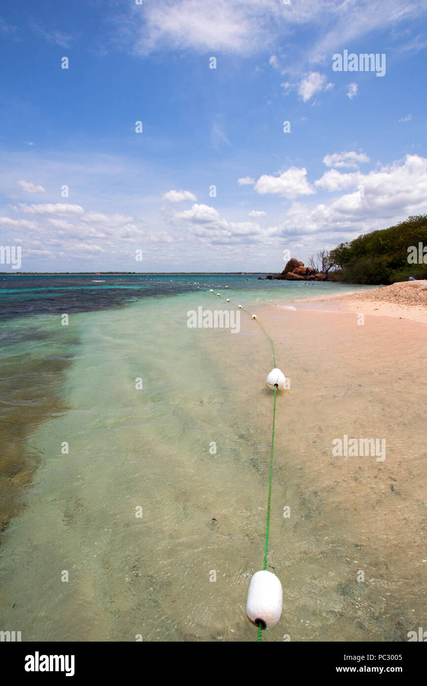 Ceylon Green Pigeon High Resolution Stock Photography and Images - Alamy