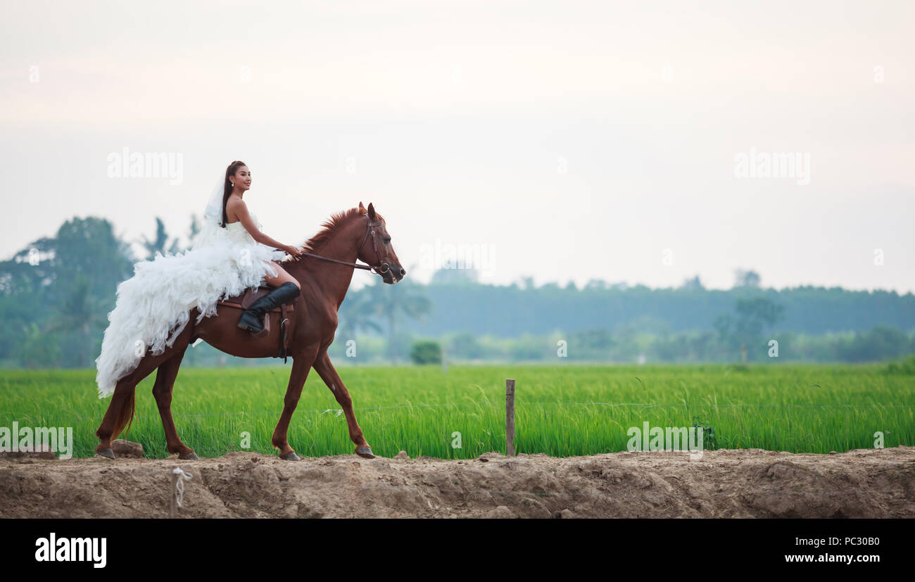 beautiful beauty bride in fashion white bridal wedding costume riding ...