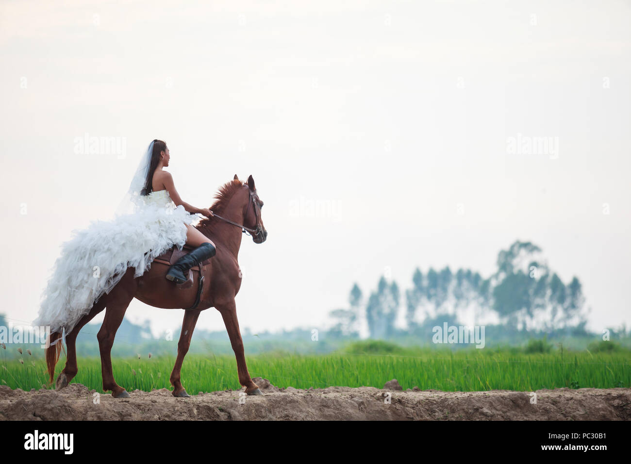 beautiful beauty bride in fashion white bridal wedding costume riding ...