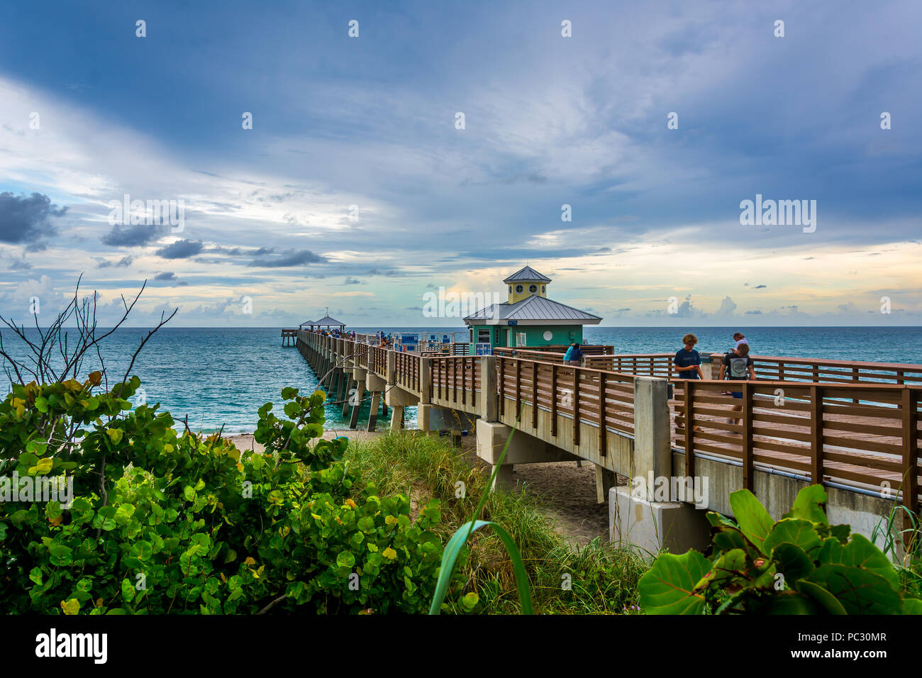 Palm beach florida juno beach hi-res stock photography and images - Alamy