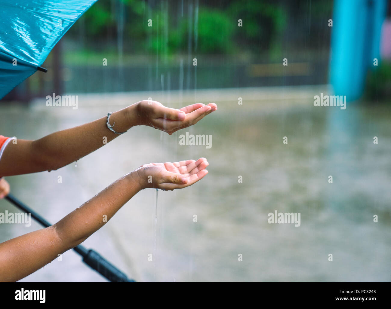 children putting hands in the rain catching drops of rain Stock Photo ...