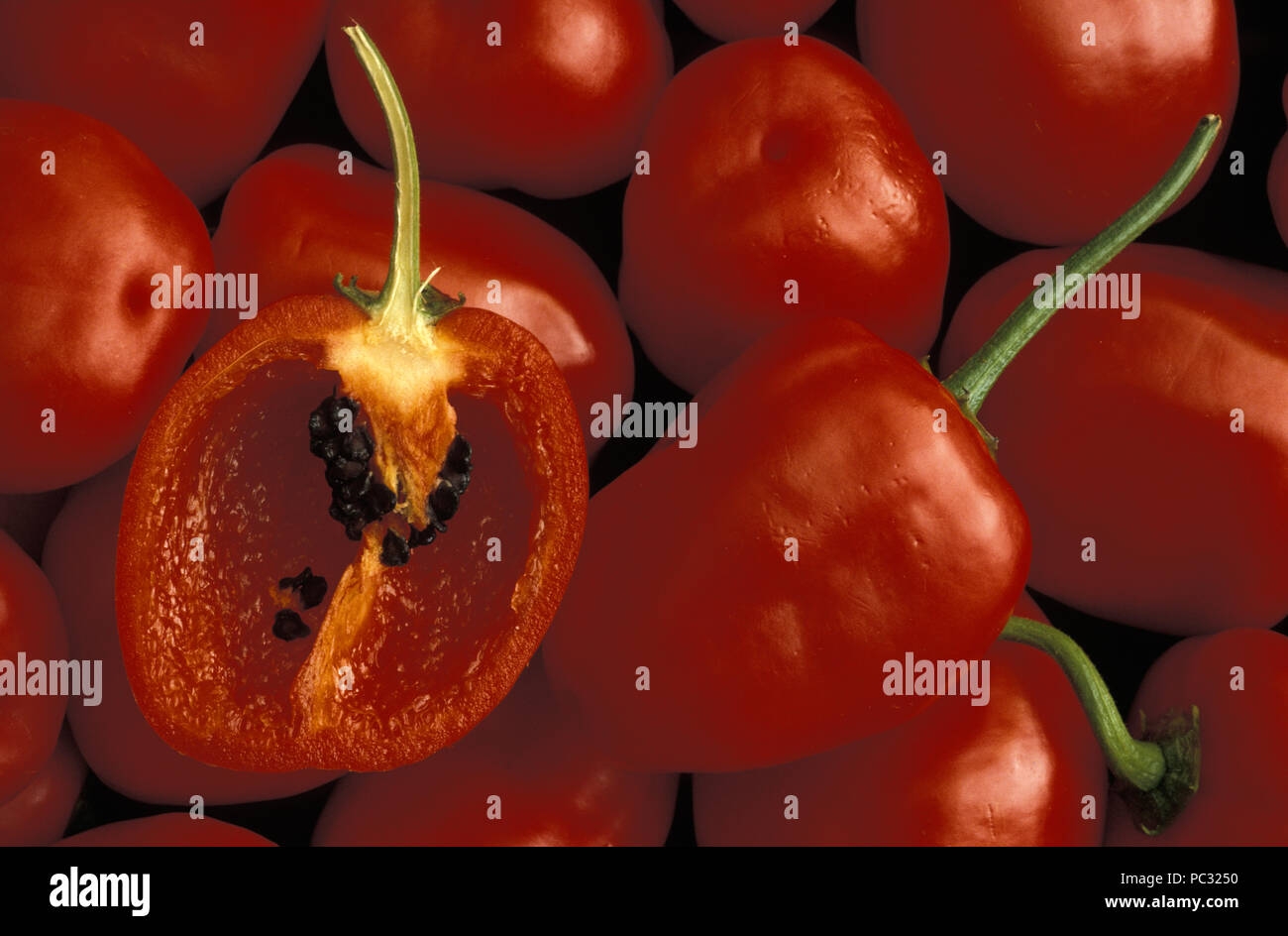 Capsicum pubescens hi-res stock photography and images - Alamy