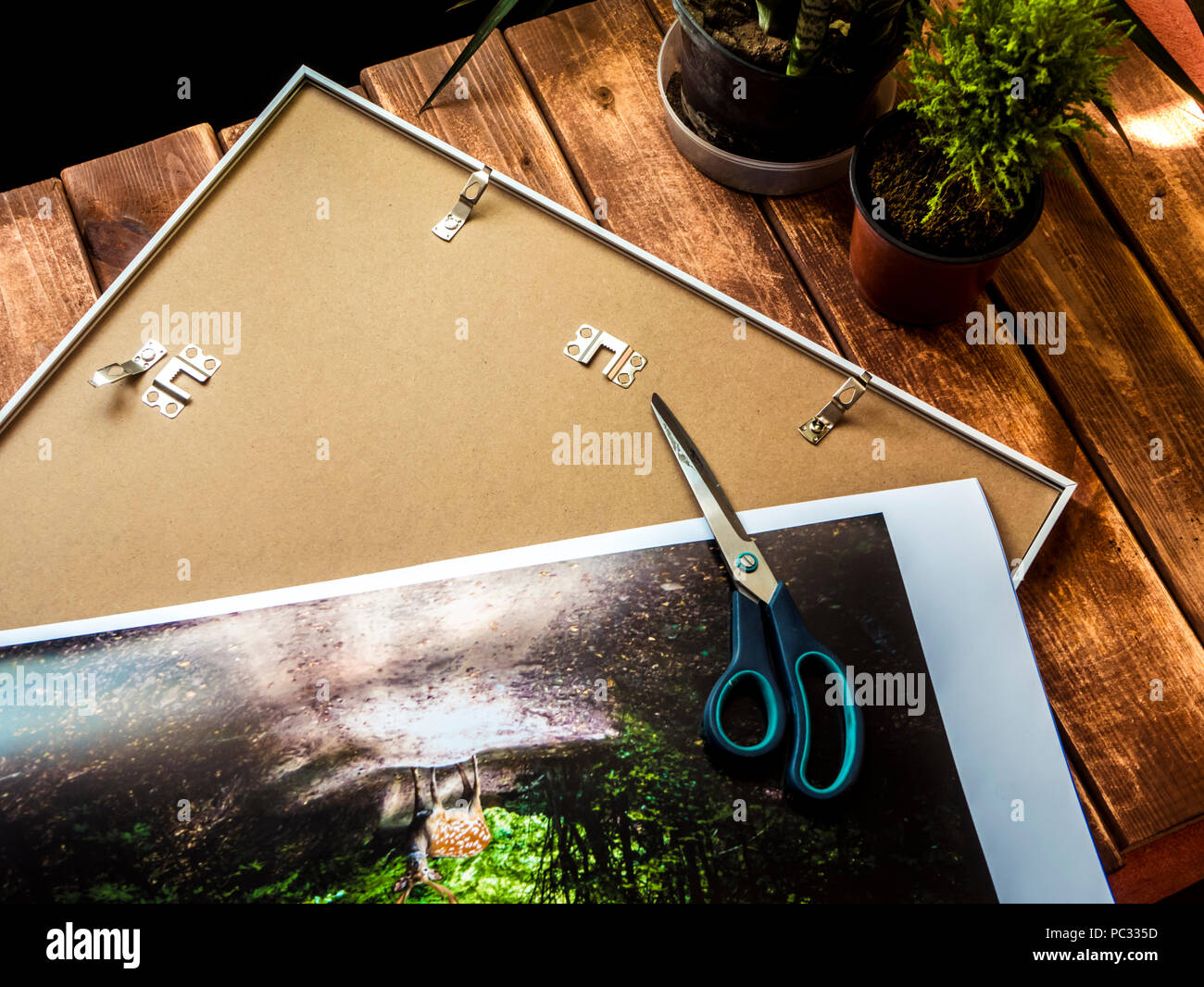 scissors on a photo before putting it into a frame overhead view Stock ...