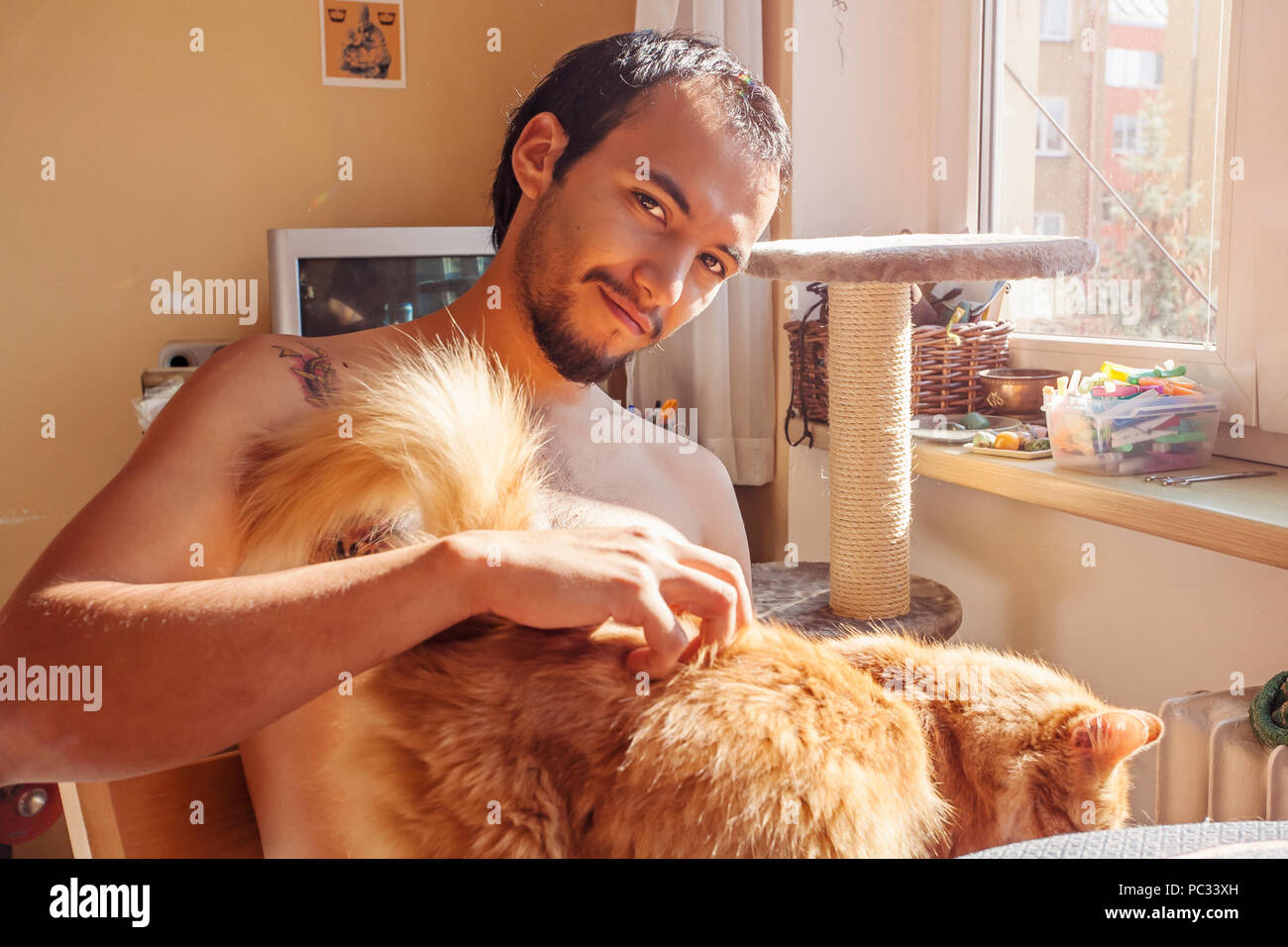 Boy petting cat hi-res stock photography and images - Alamy