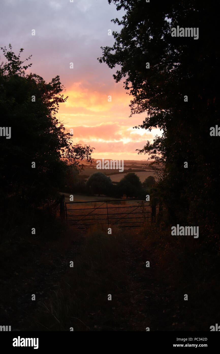 Field gate with sunset Stock Photo - Alamy