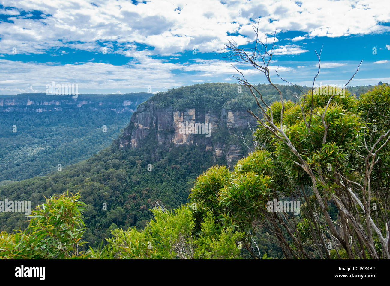 Jamison Valley in Blue Mountains in Australia Stock Photo - Alamy