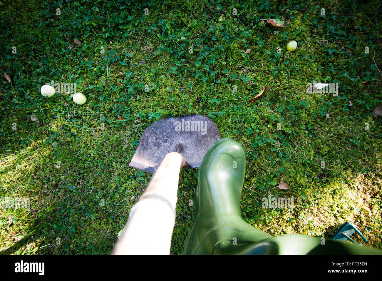 Spade grass hi-res stock photography and images - Alamy