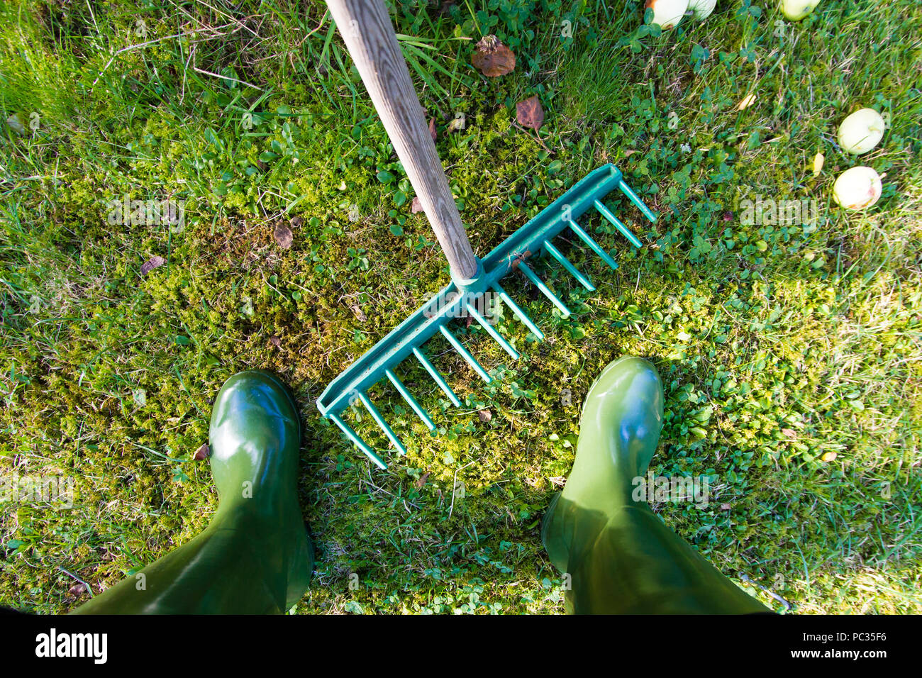 Garden wellies hi-res stock photography and images - Alamy