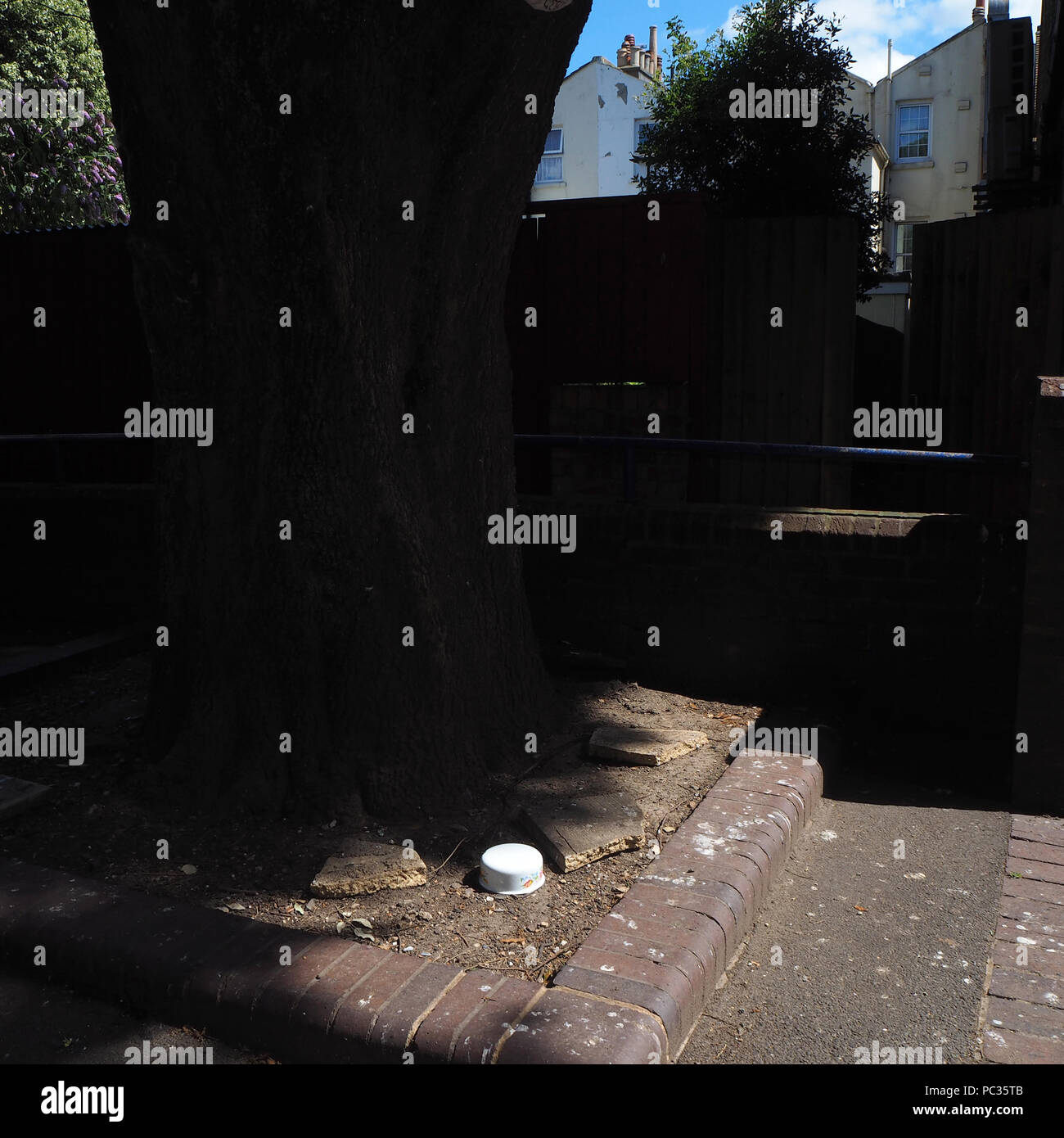 Rubbish and litter left in the street Stock Photo - Alamy