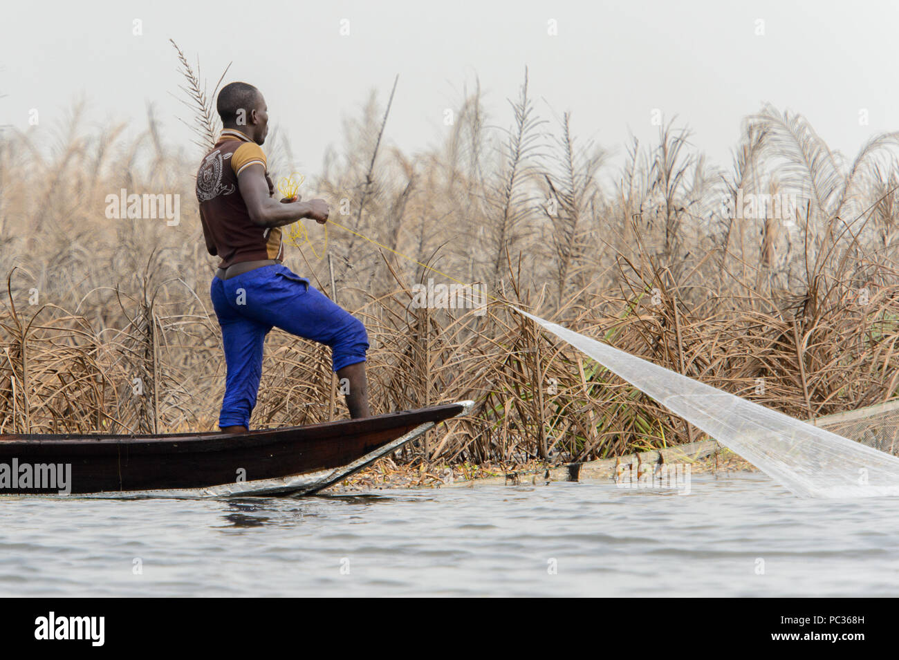 GANVIE, BENIN - JAN 11, 2017: Unidentified Beninese man cathes fish ...
