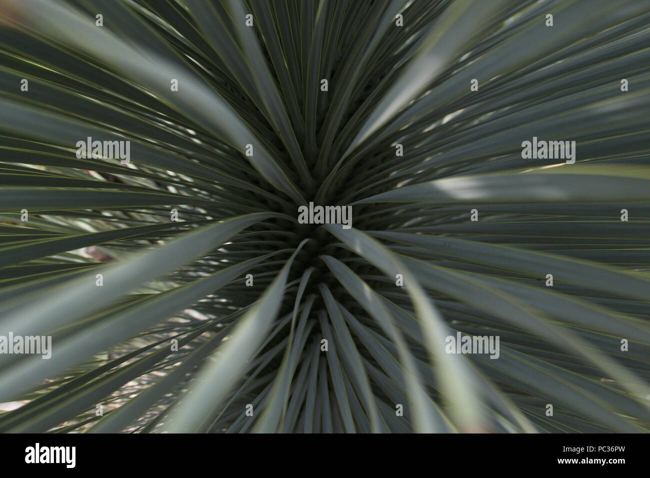 Internal structure hi-res stock photography and images - Alamy