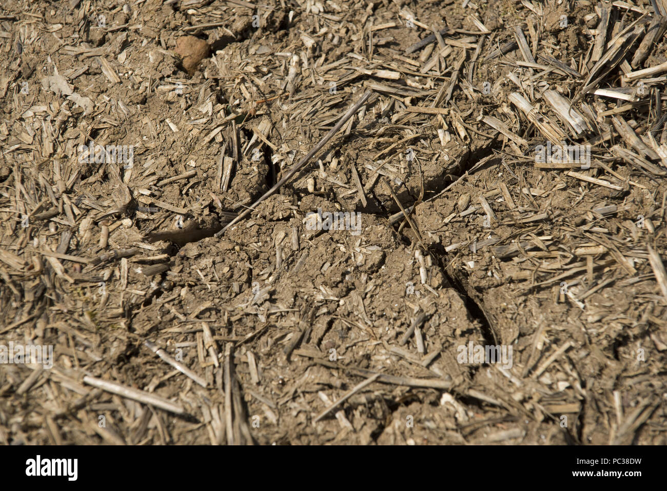 Unplanted hi-res stock photography and images - Alamy