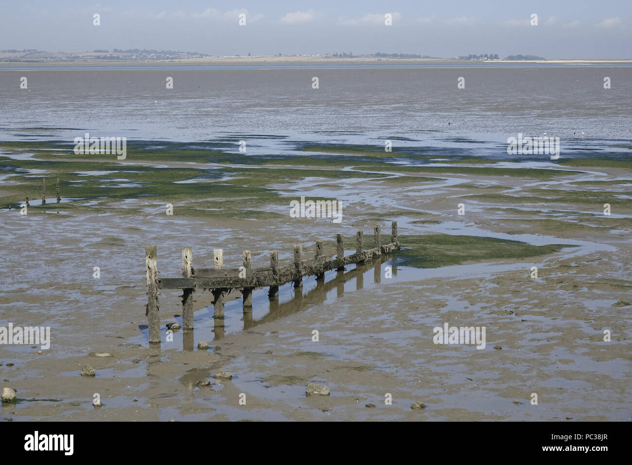 Wildlife trust for south hi-res stock photography and images - Alamy