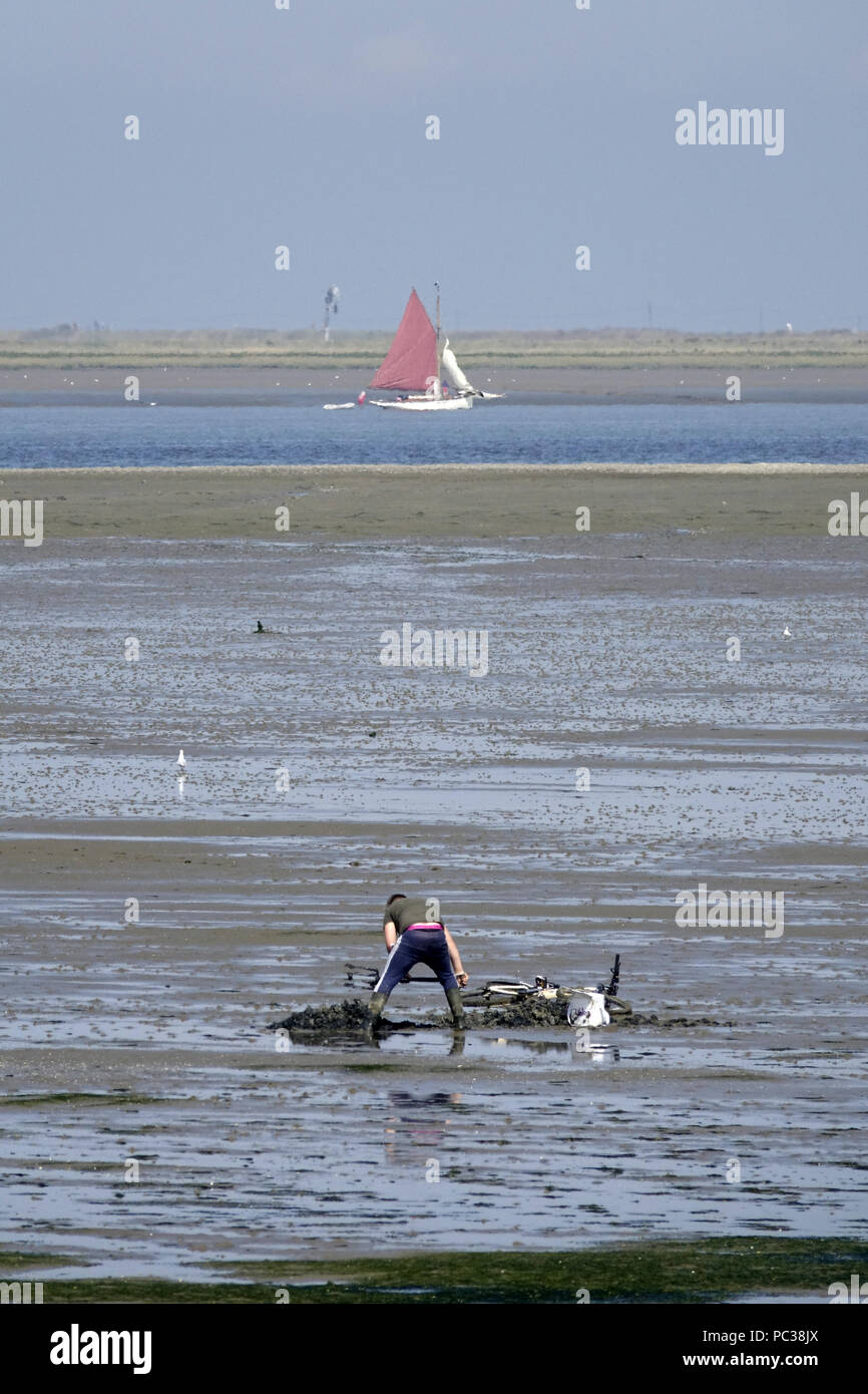 Digging for lugworm hi-res stock photography and images - Alamy