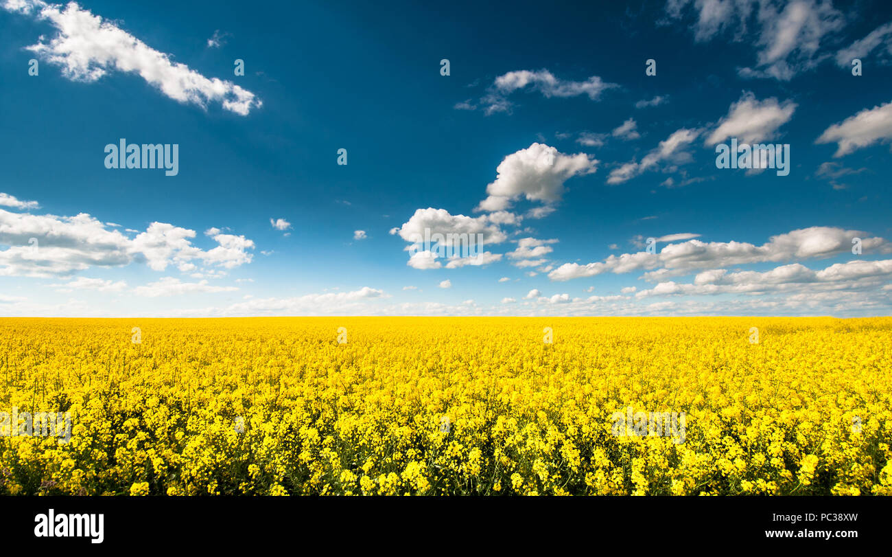 Empty of crops hi-res stock photography and images - Alamy