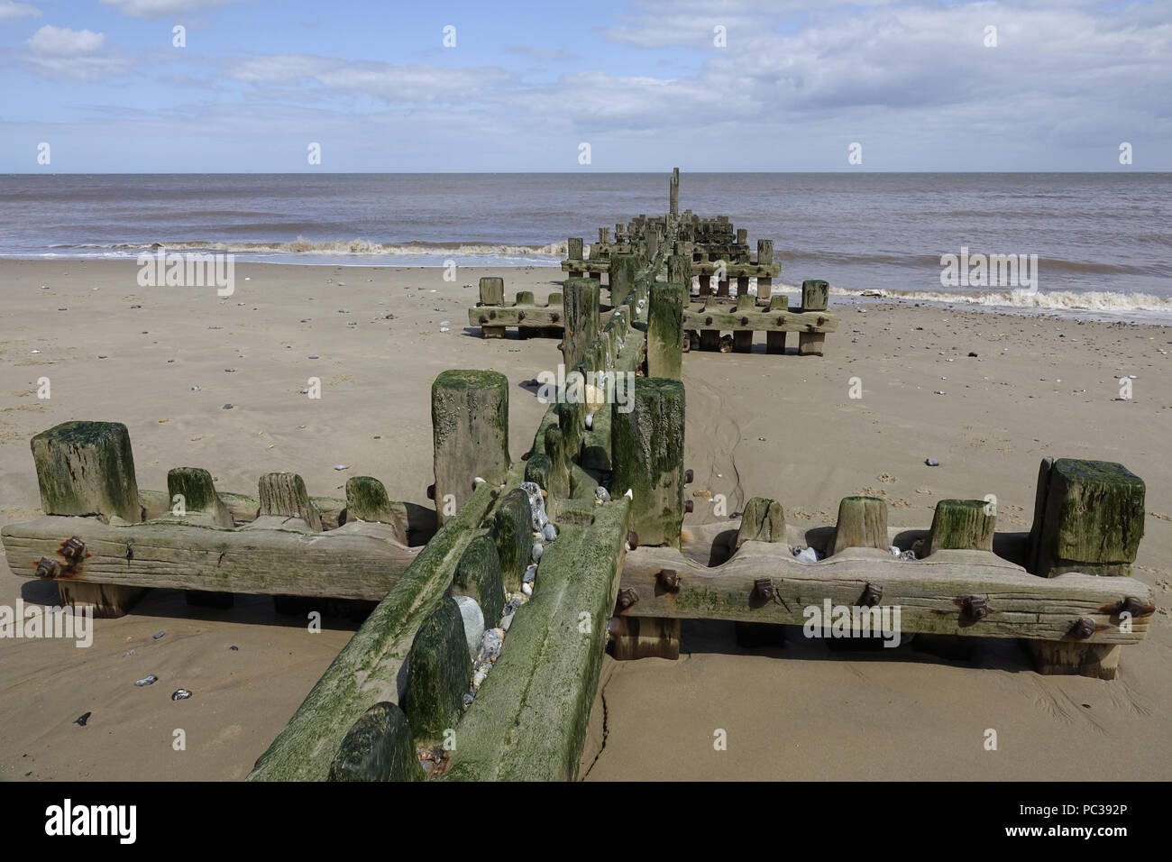 Exposed groins at Mundesley North Norfolk at Low tide Stock Photo - Alamy