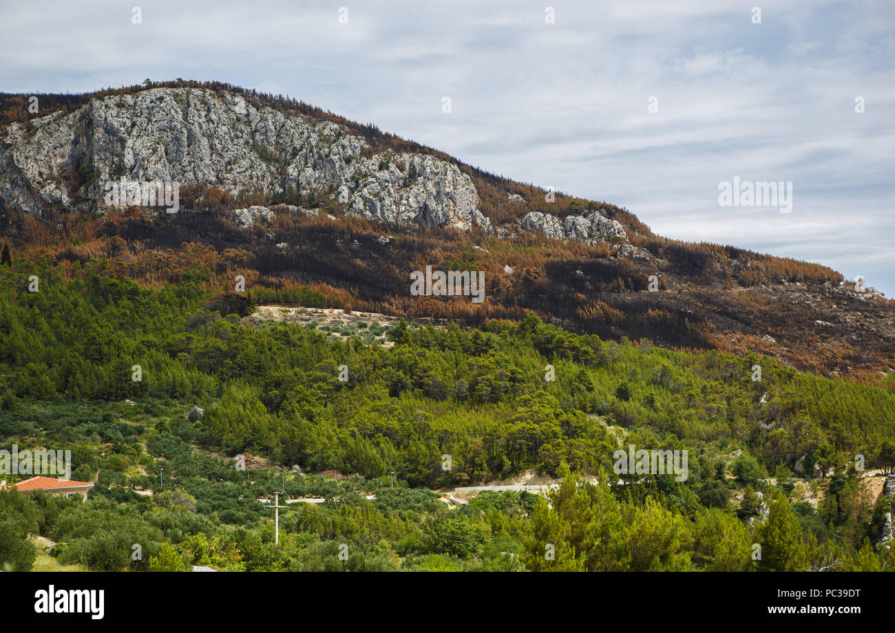 Burned rock mountain summer hi-res stock photography and images - Alamy