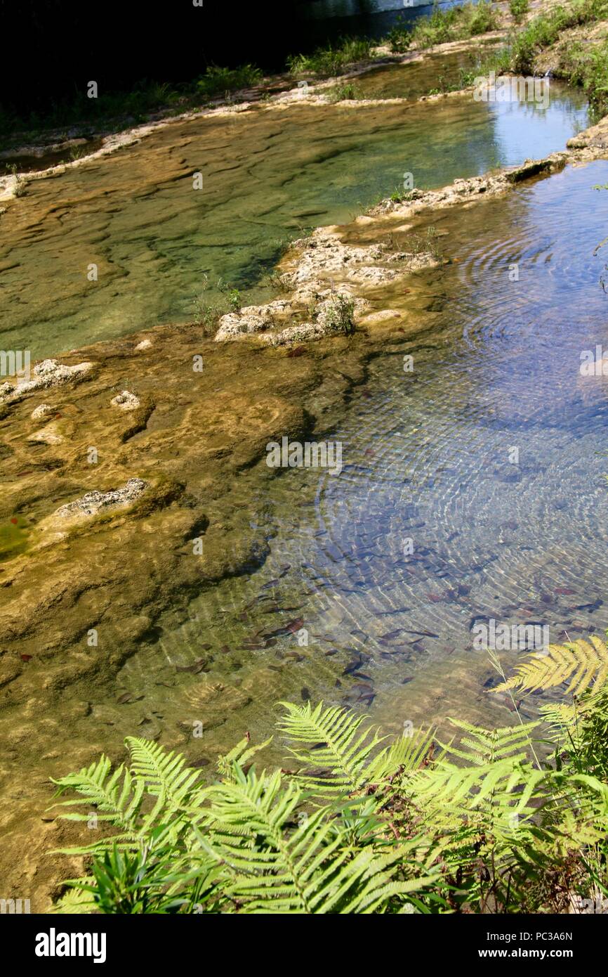Natural limestone pools in the jungles of Guatemala Stock Photo - Alamy