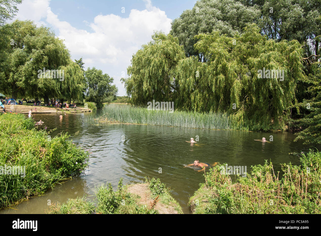 Village life Olney Bedfordshire swim swimming in the lake Summer ...