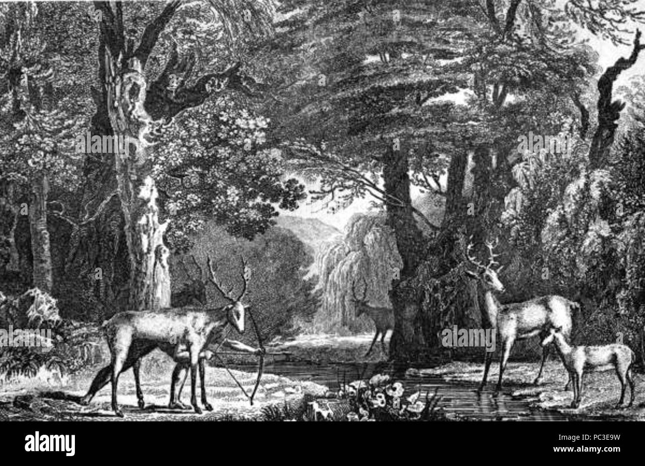 Native american hunting illustration hi-res stock photography and ...