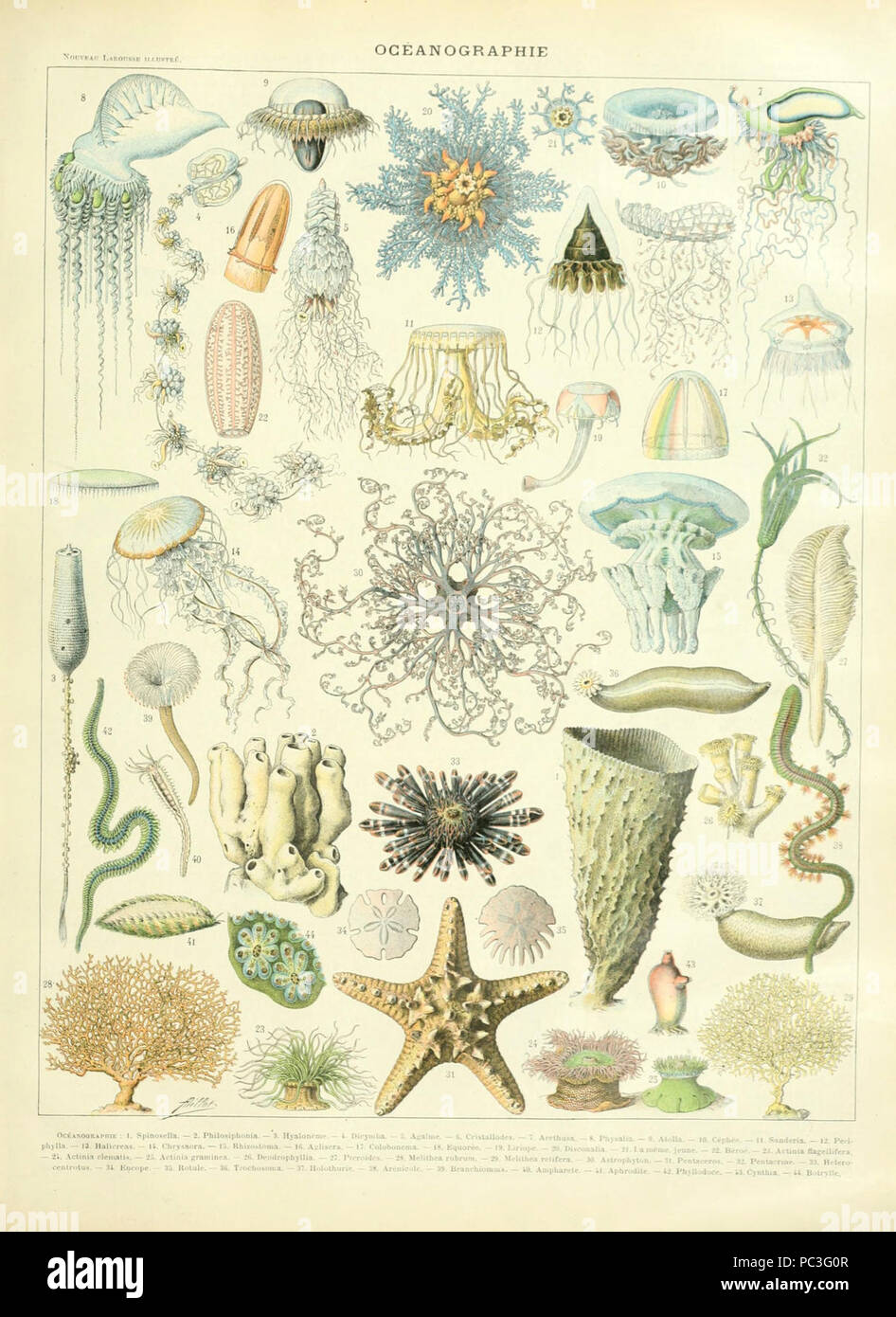 Adolphe Millot ocenaographie Stock Photo - Alamy