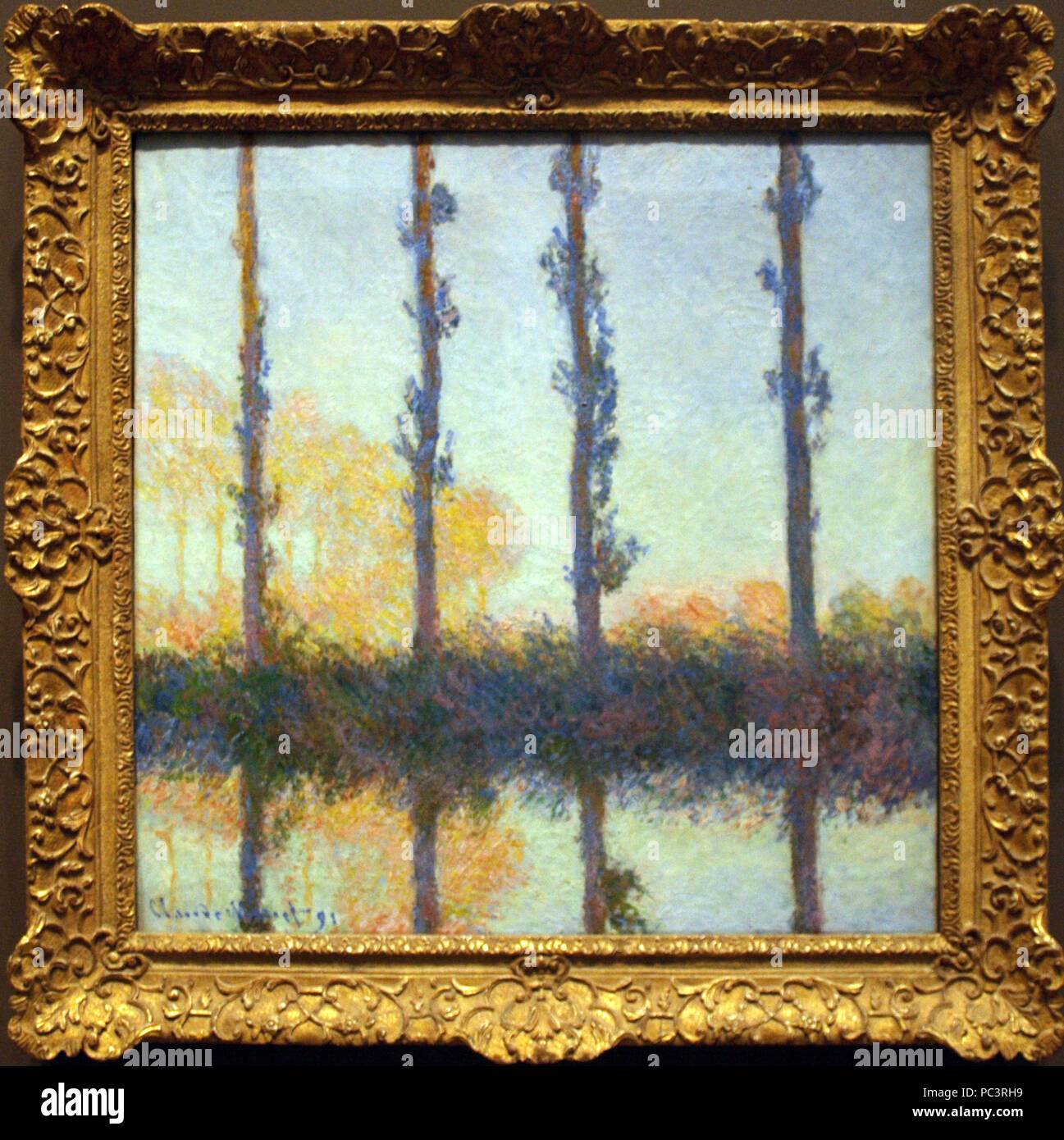 595 The Four Trees Stock Photo - Alamy