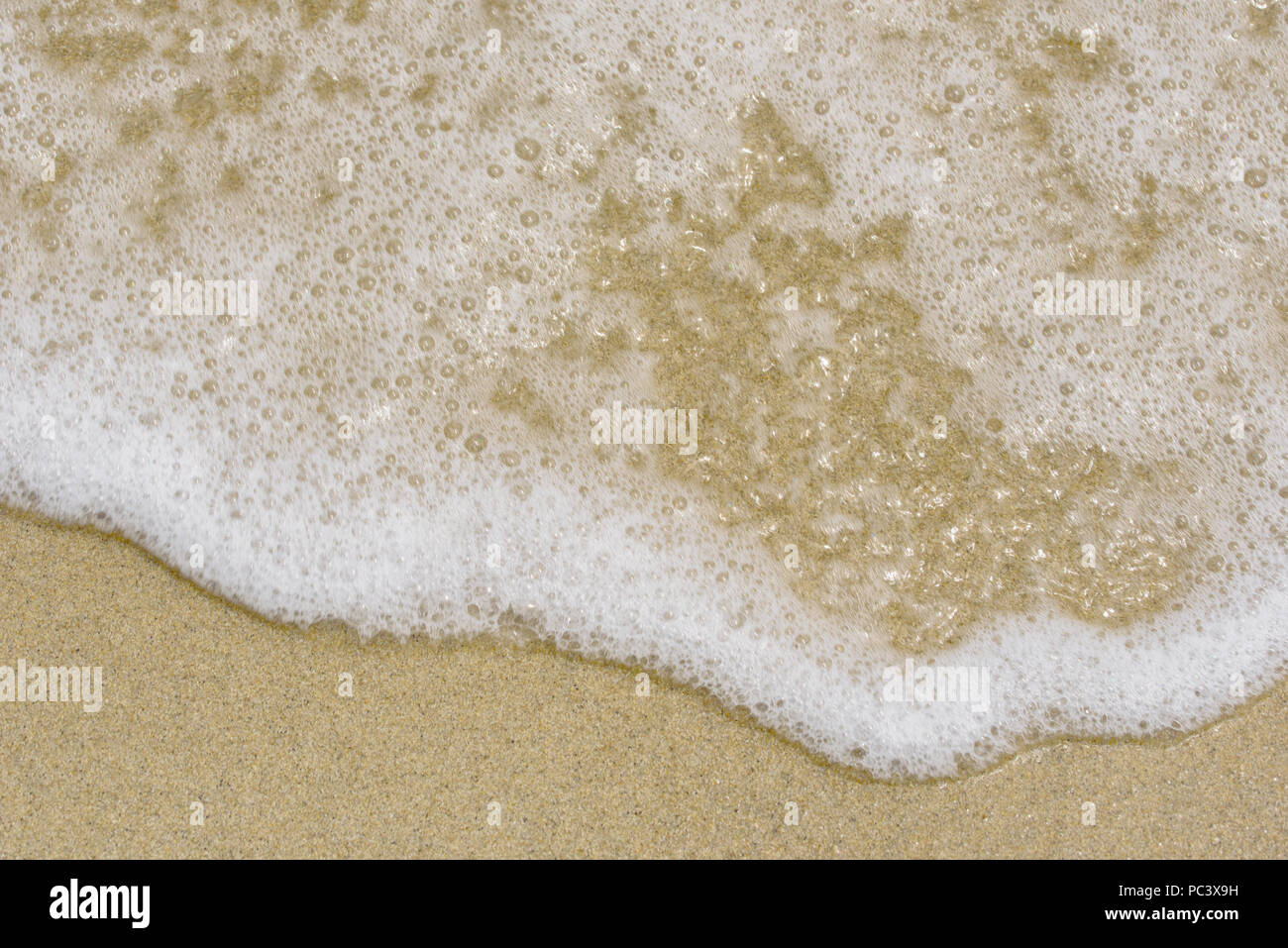 Sea foam on the beach. Sea beach and soft wave Stock Photo - Alamy