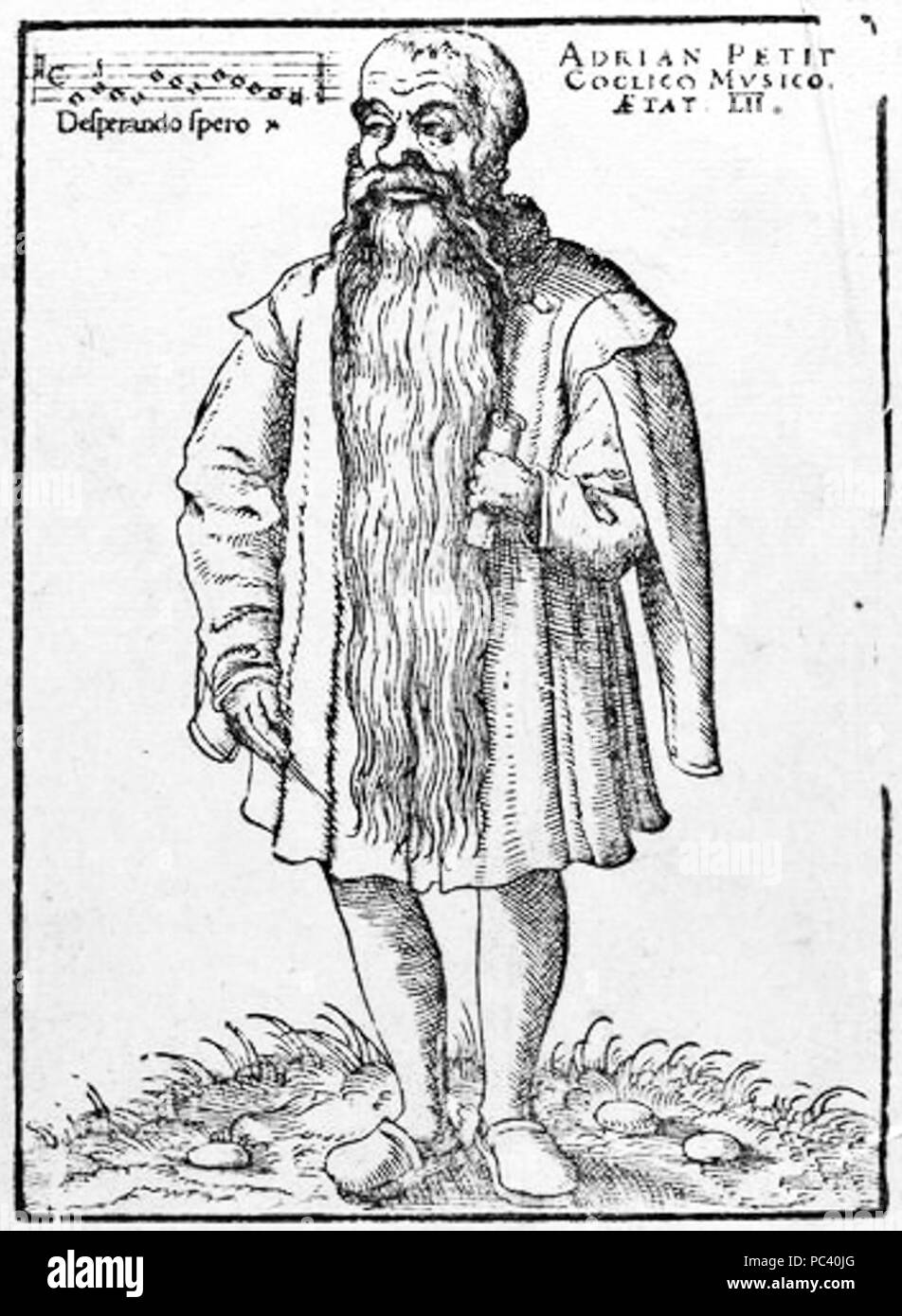 Coclico hi-res stock photography and images - Alamy